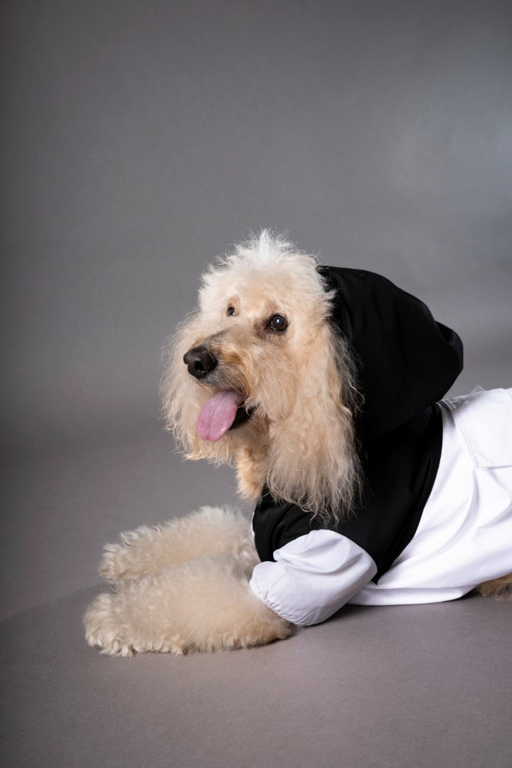 Mascotas | Luxury Dog Clothing & Designer Small Dog Apparel